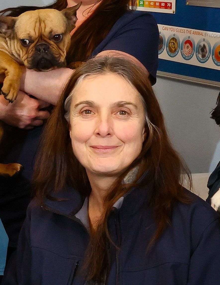 Archways Vets Chepstow & Caldicot | Meet the Staff