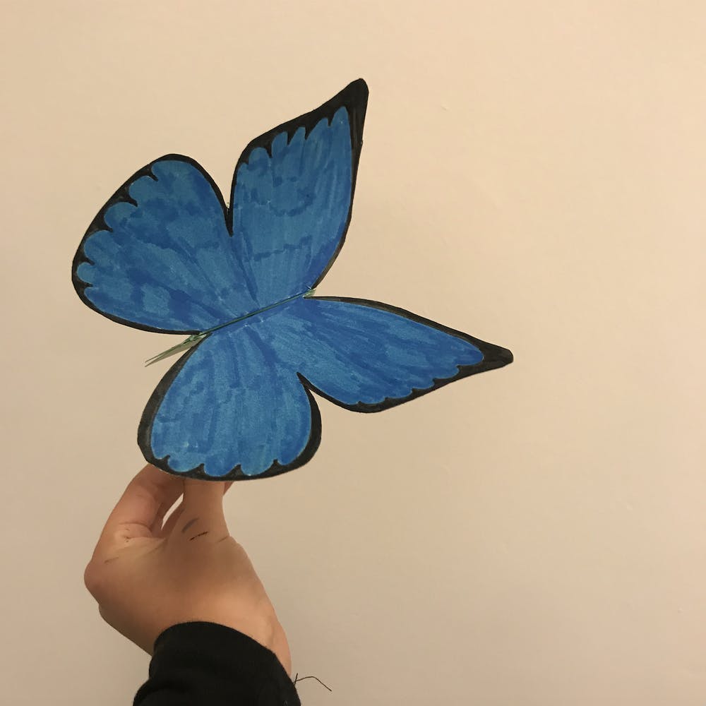 DIY Butterfly Toy