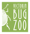 Victoria Bug Zoo | Home
