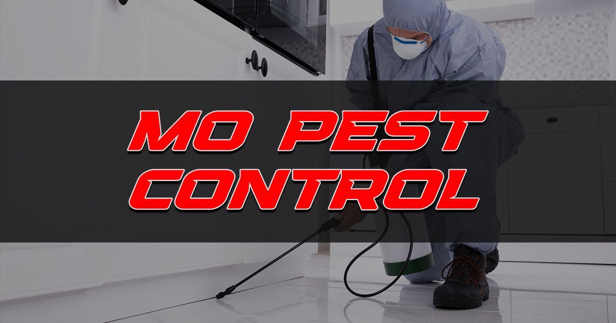 Missouri Pest Control | Expert Pest Solutions