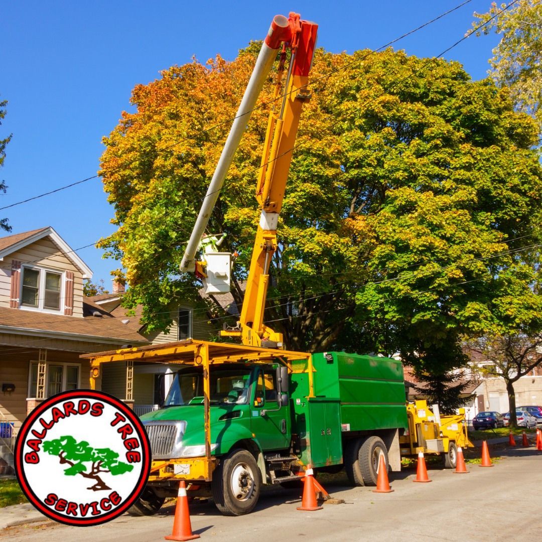 Tree Trimming Company | Atlanta, GA | Ballard's Tree Service