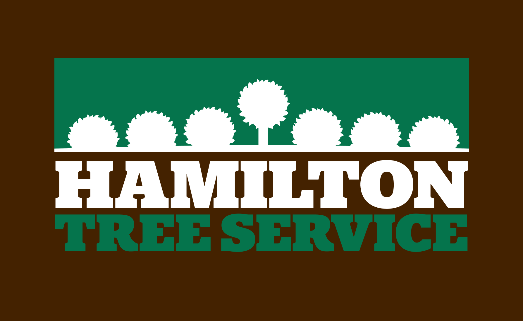 Gallery | Jacksonville, Florida | Hamilton Tree Service