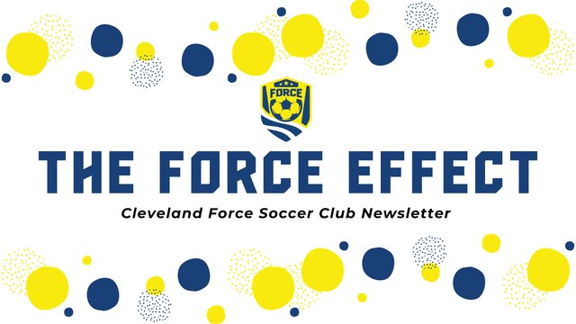 Cleveland Force Logo MISL Cleveland Force Lot Of 2 Vintage Defunct