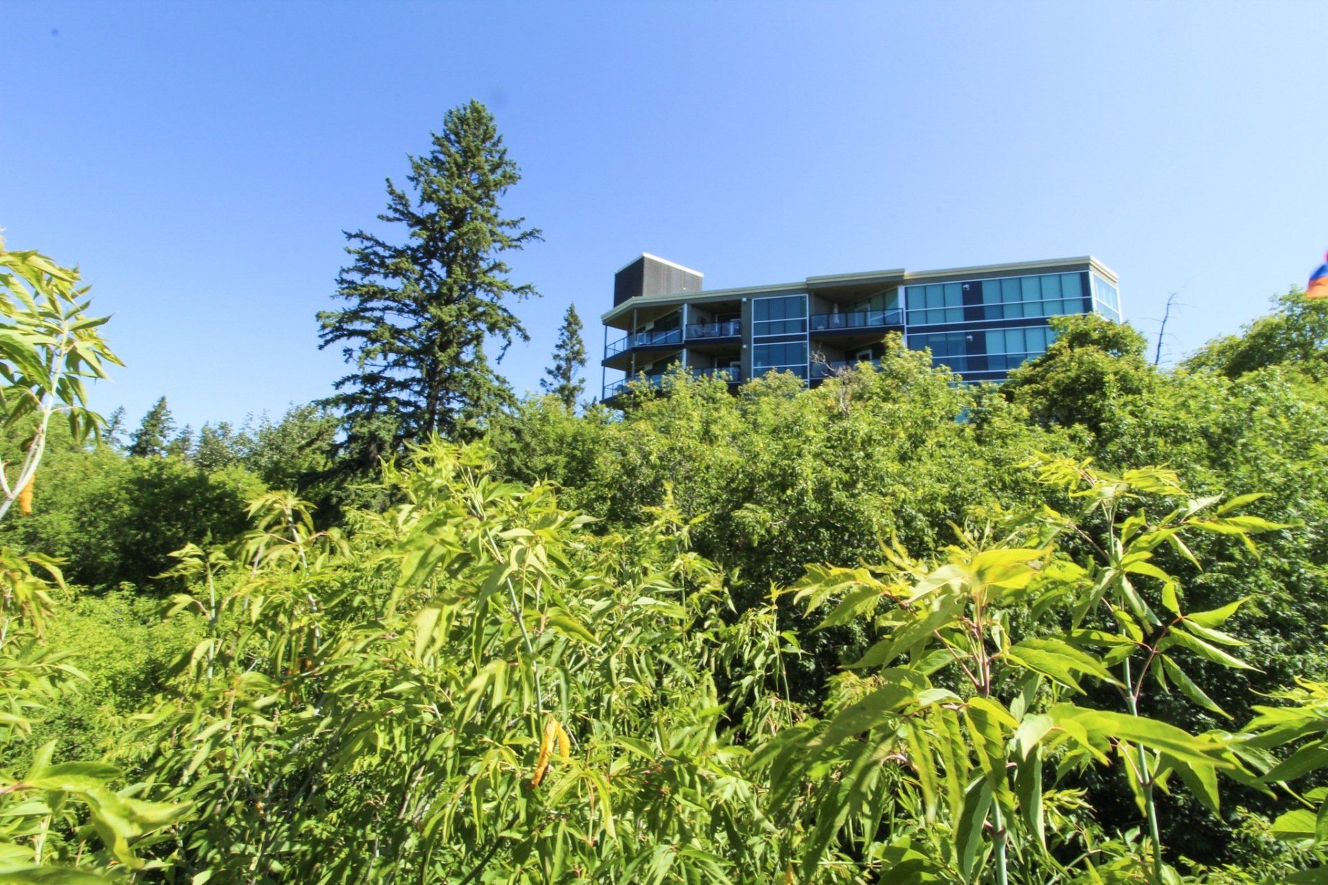 Experience furnished apartments Edmonton | Princeton Suites