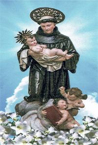 Necrologio Luisa Palumbo - in Volpe