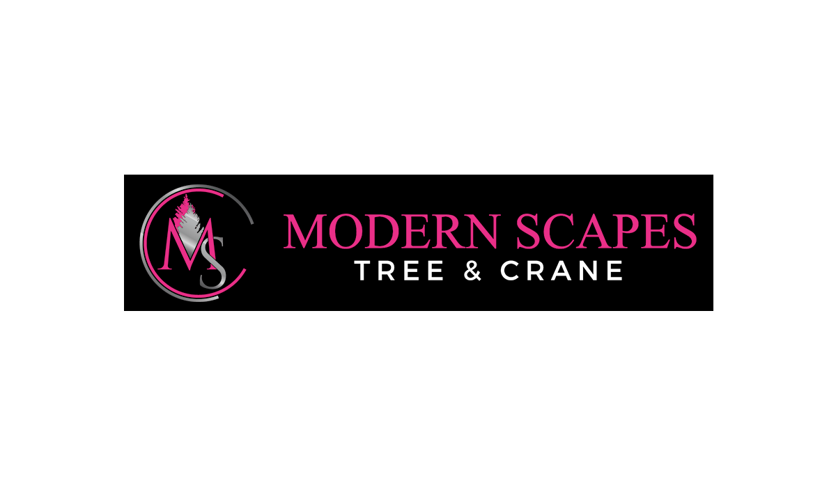Modern Scapes Tree & Crane Services | Citrus County, FL