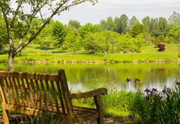 What is a Green Burial?