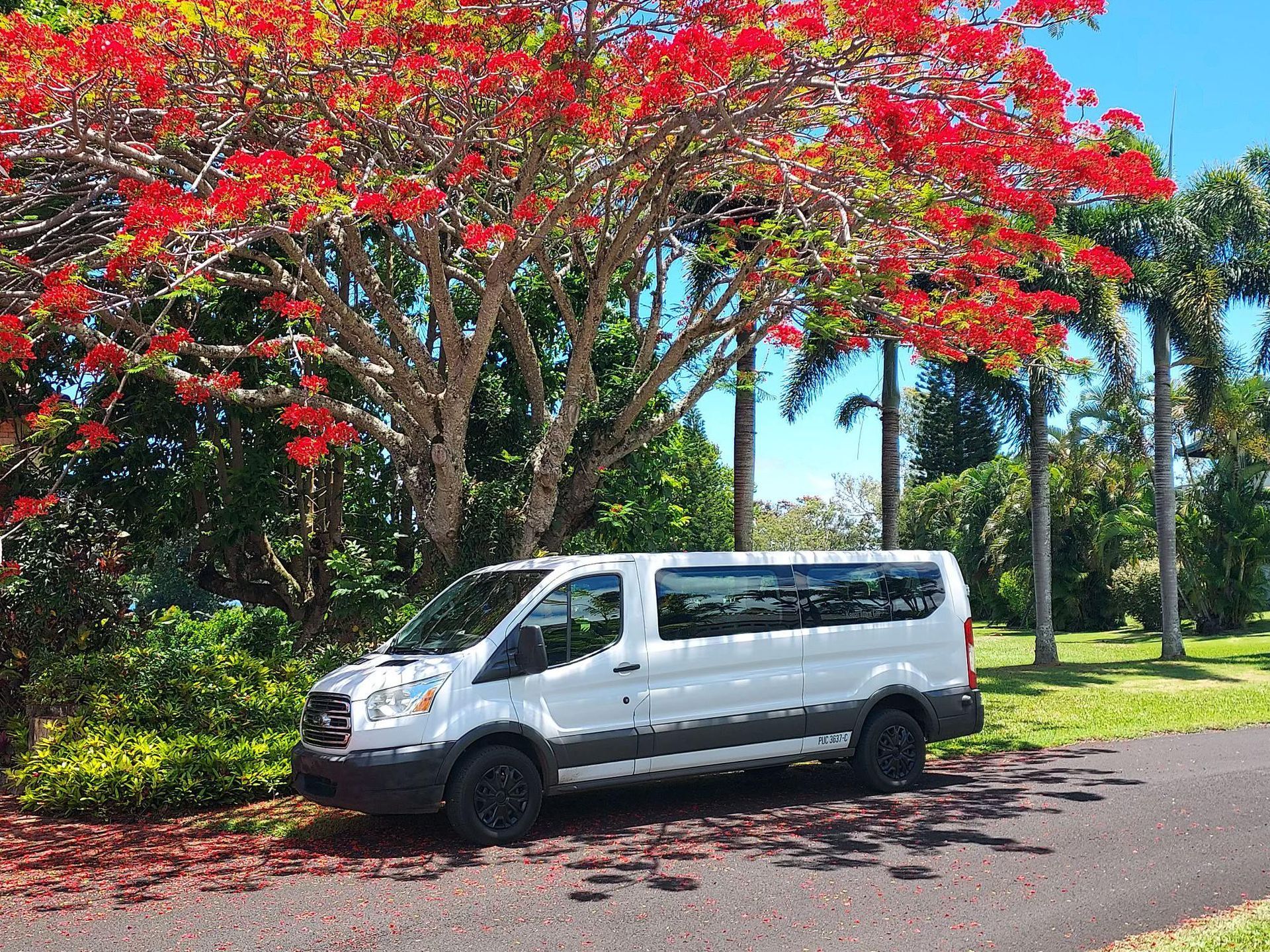 The Best Luxury Ground Transportation