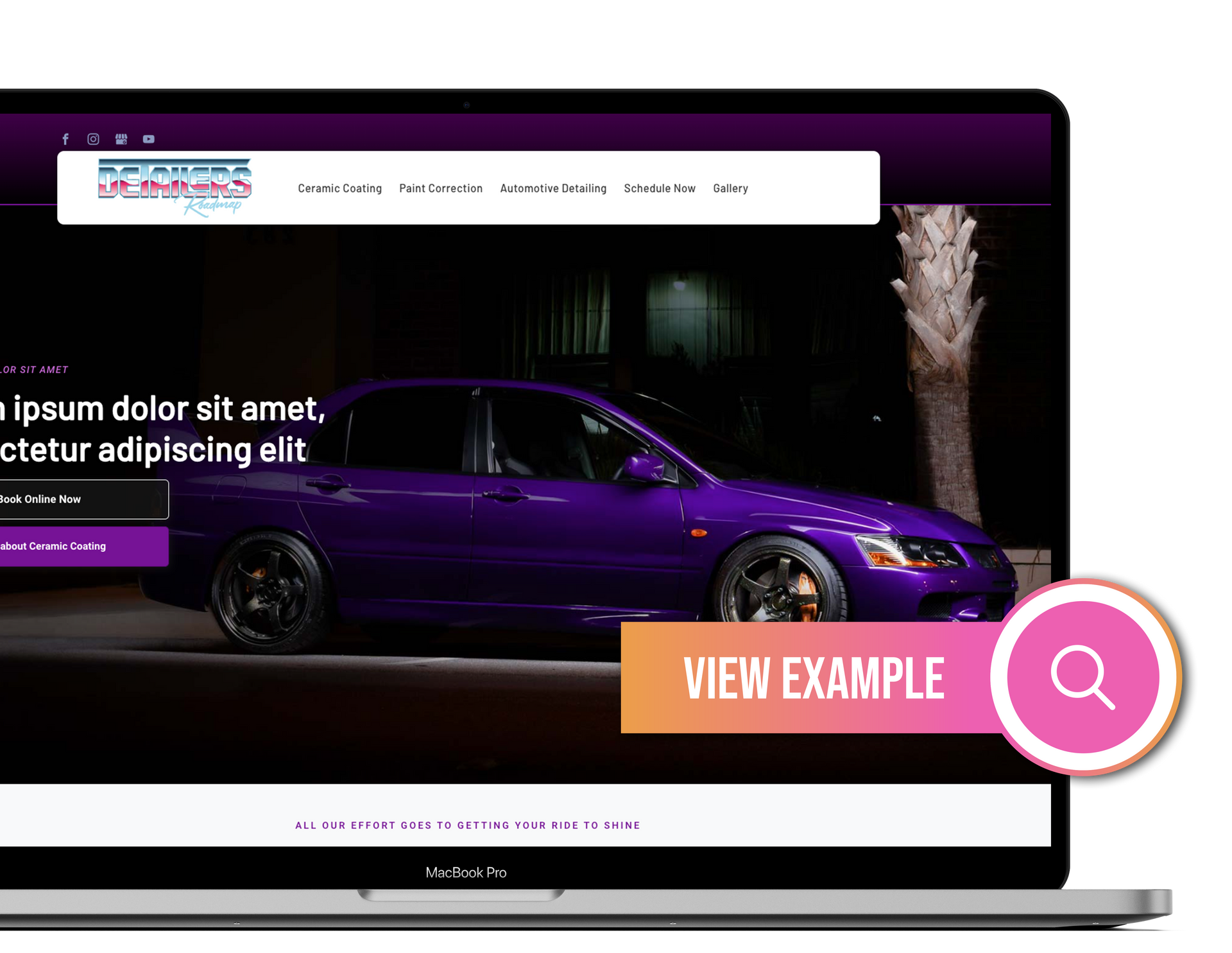 Vice Website Design Skin | Detailers Roadmap