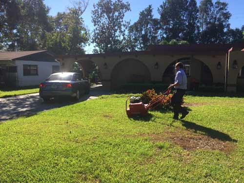 Pest Control | Tampa, Florida | Pestgo