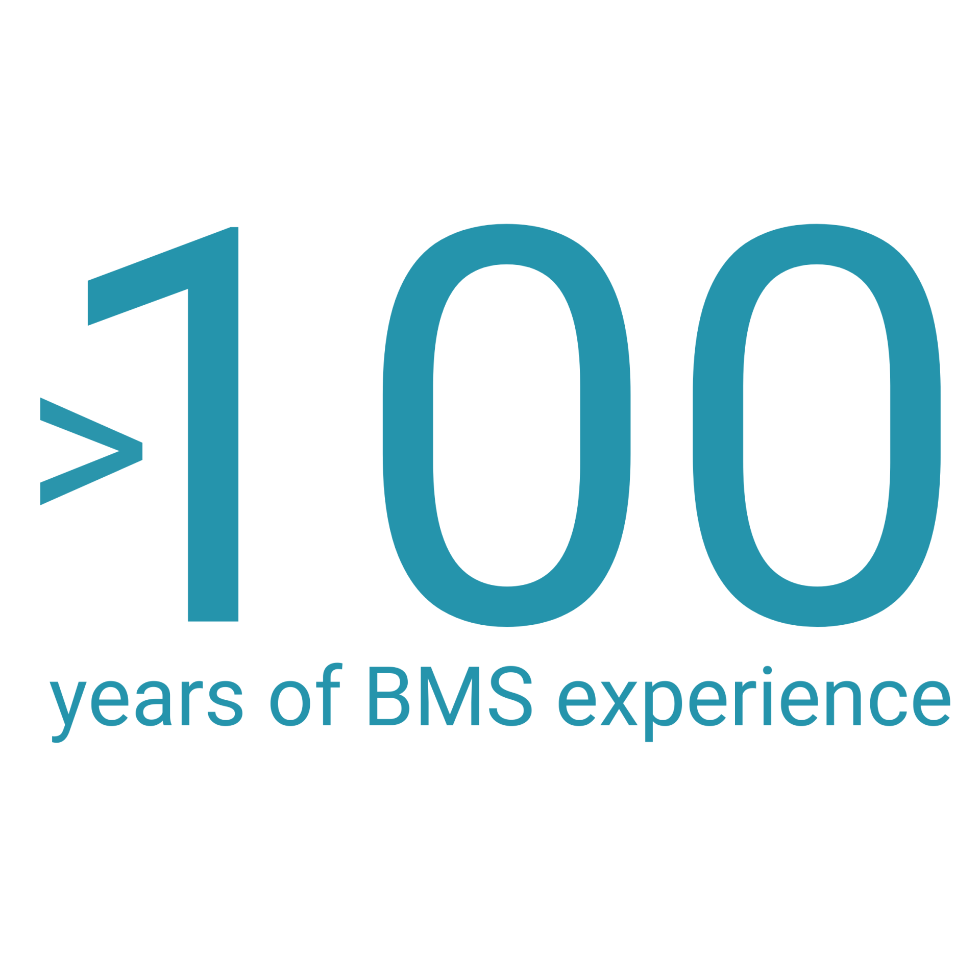 Total Control BMS UK Experts Leadership Team