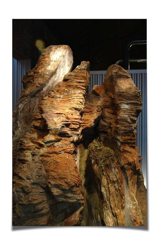 Bronze Sculptures & Statues | Forest Boone Studio