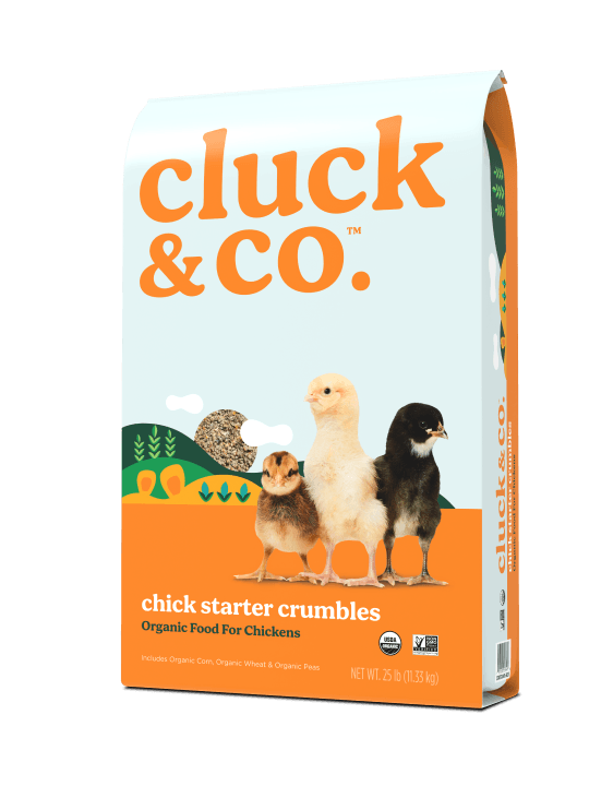 cluck & co. - Organic Food for Chickens