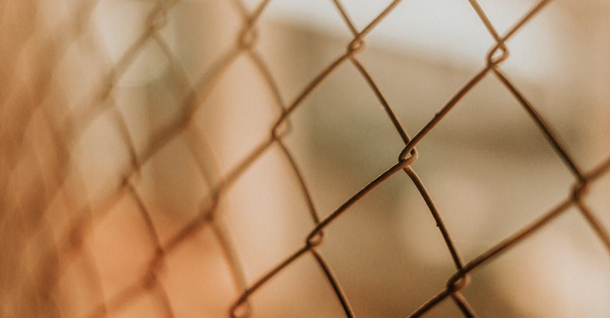Selecting the Right Chain Wire Fence: A Buyer Guide