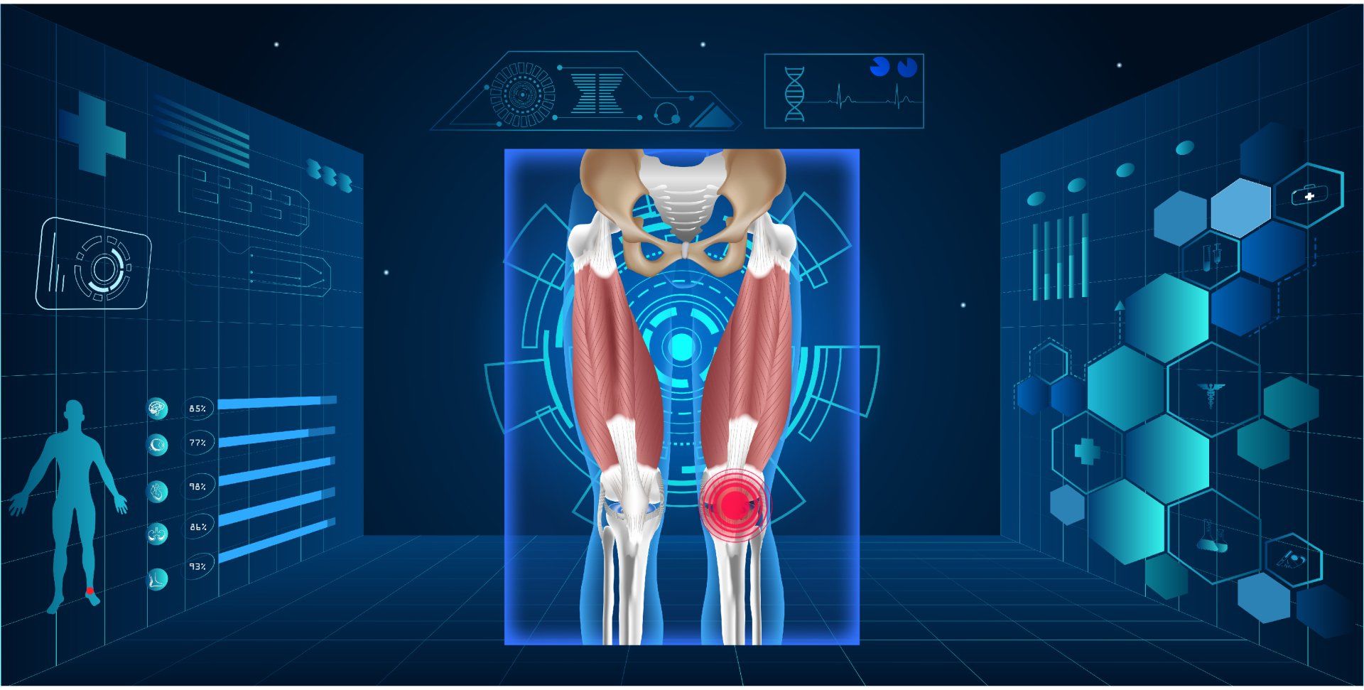 All About Muscles, Tendons and Ligaments