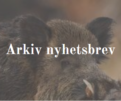 Arkiv nyhetsbrev