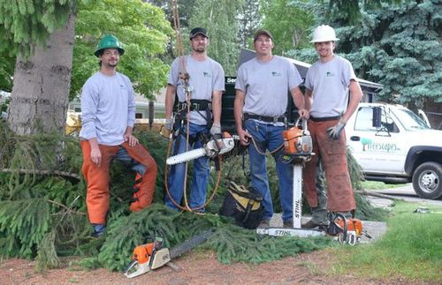 Full Service Lawn and Tree Care | Treescapes Inc. | Spokane Valley ...