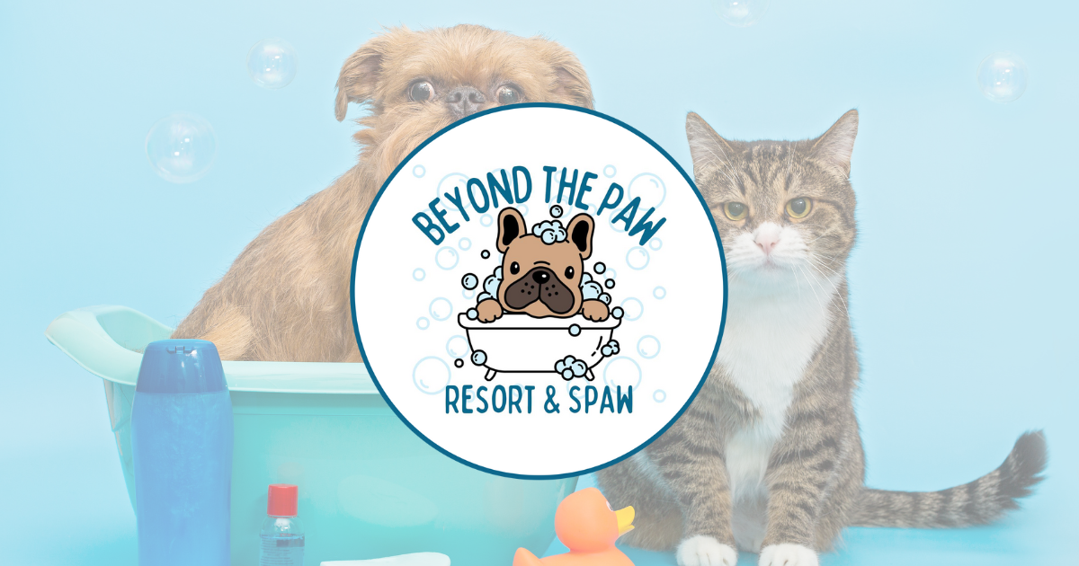 HOME | Beyond the Paw Resort & Spaw | Enon, Ohio