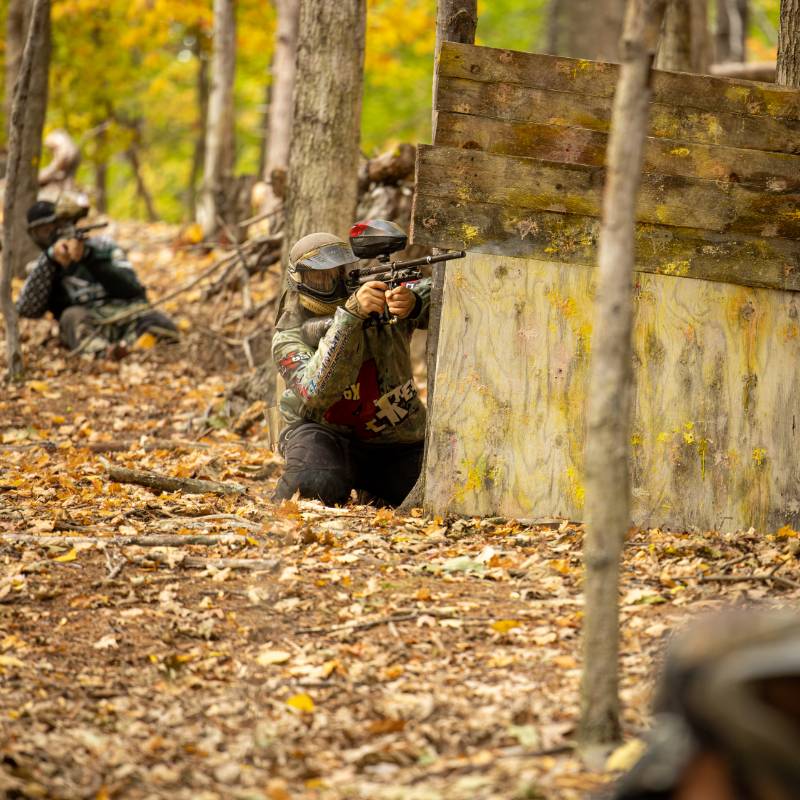 Sherwood Forest | OSG Paintball