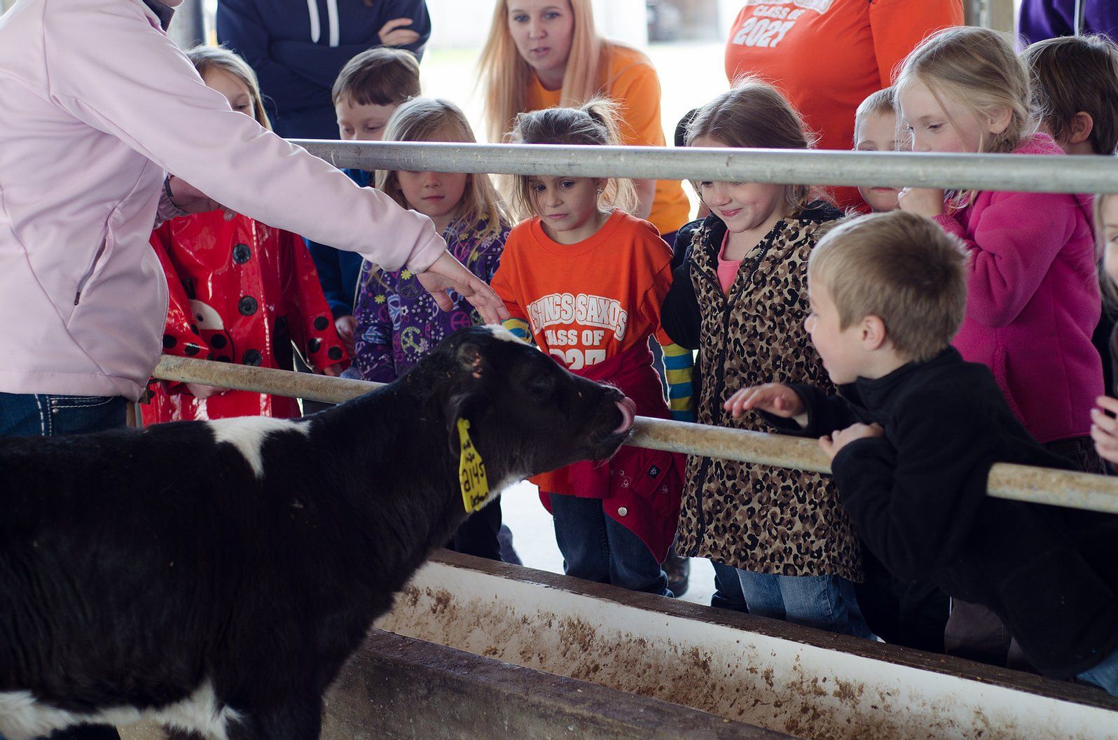 MOO-ville Creamery | Ice Cream | Milk & Dairy Products