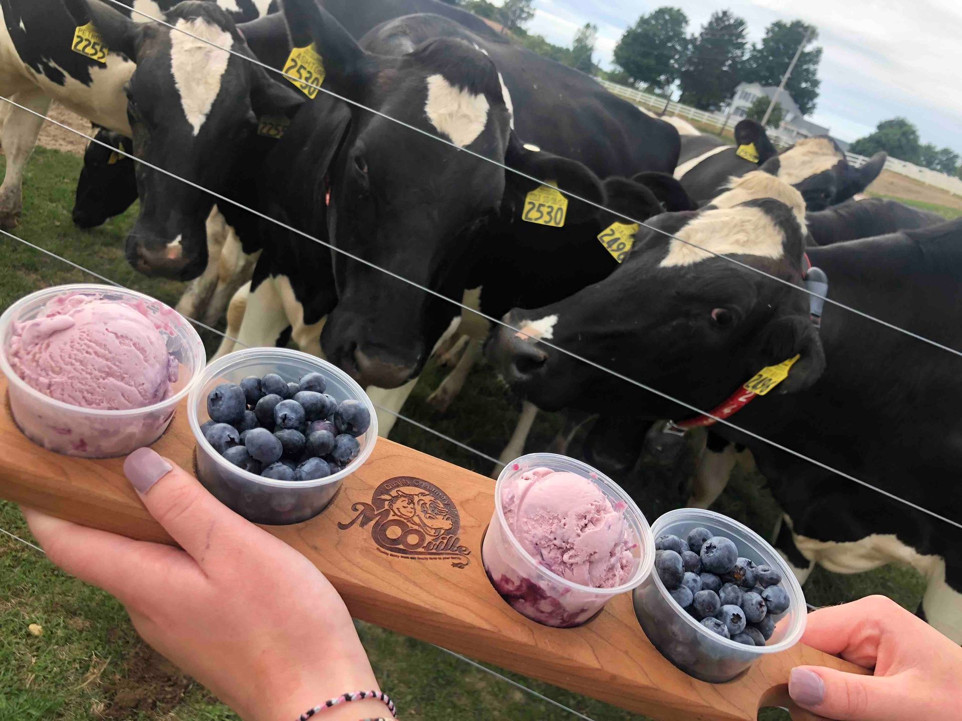 MOO-ville Creamery | Products