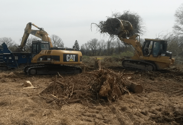 SITE CLEARING & GRUBBING