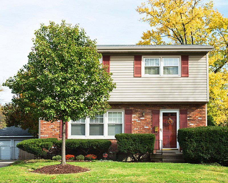 Beautiful Trees for Sale in Iola, TX | Bob's Tree Farm