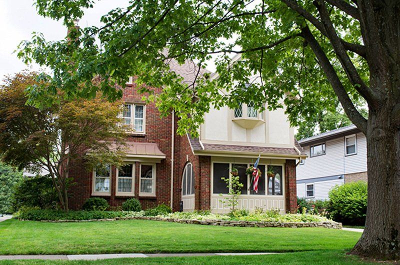 Beautiful Trees for Sale in Iola, TX | Bob's Tree Farm