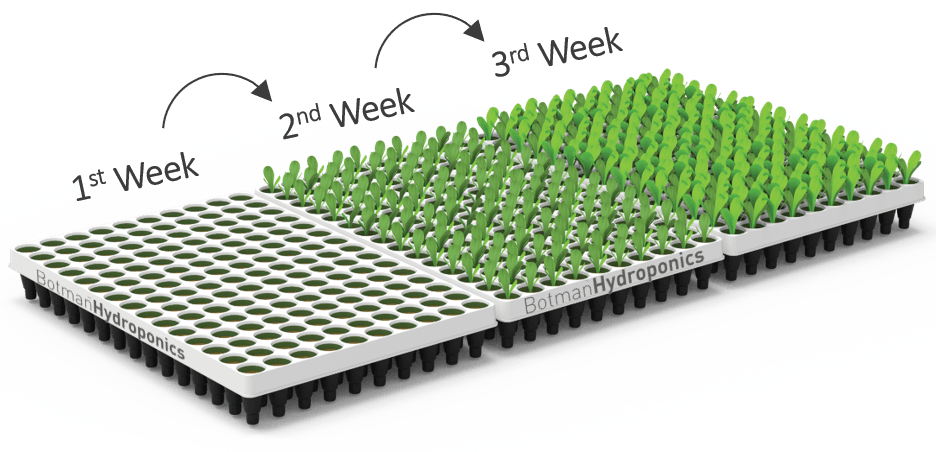 Floating Raft Hydroponics How To Build A Big Floating Raft Hydroponics