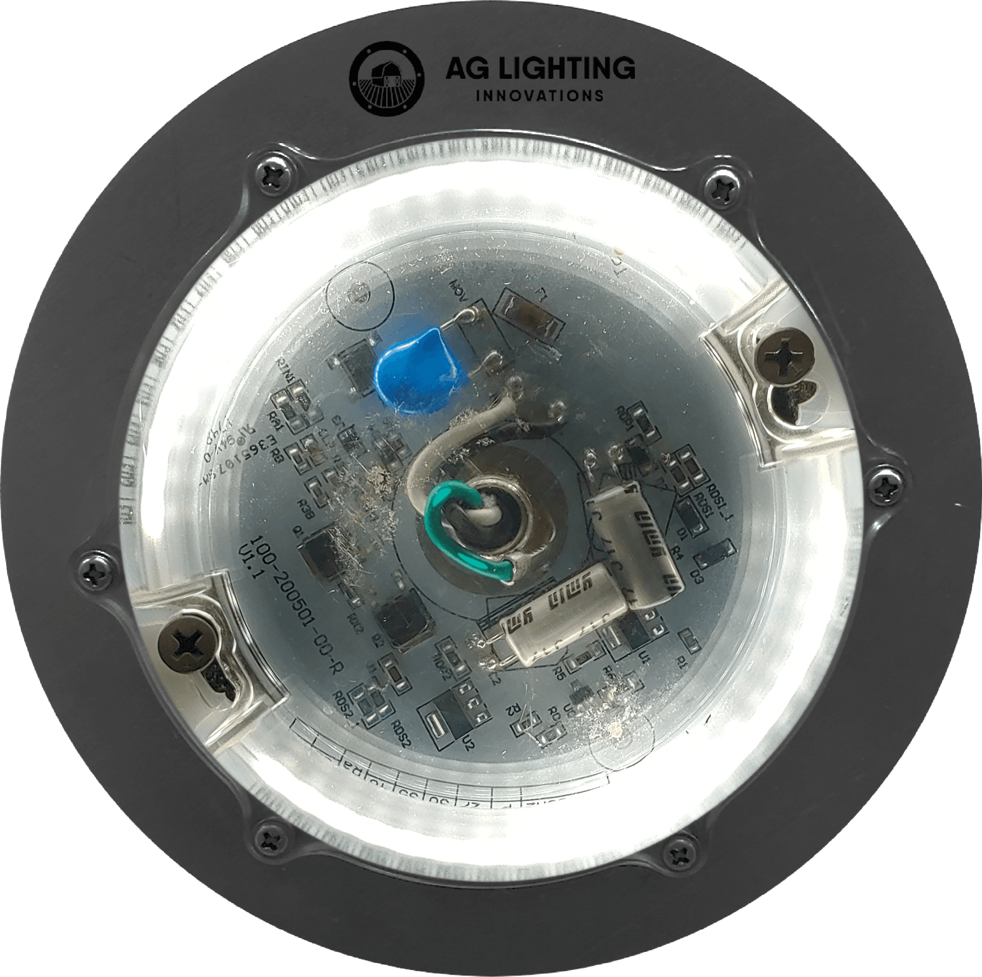 Poultry LED Lighting | Precision Lighting Systems, Inc.