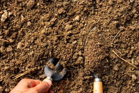 Horse Manure Collection and Delivery in Oakford, WA