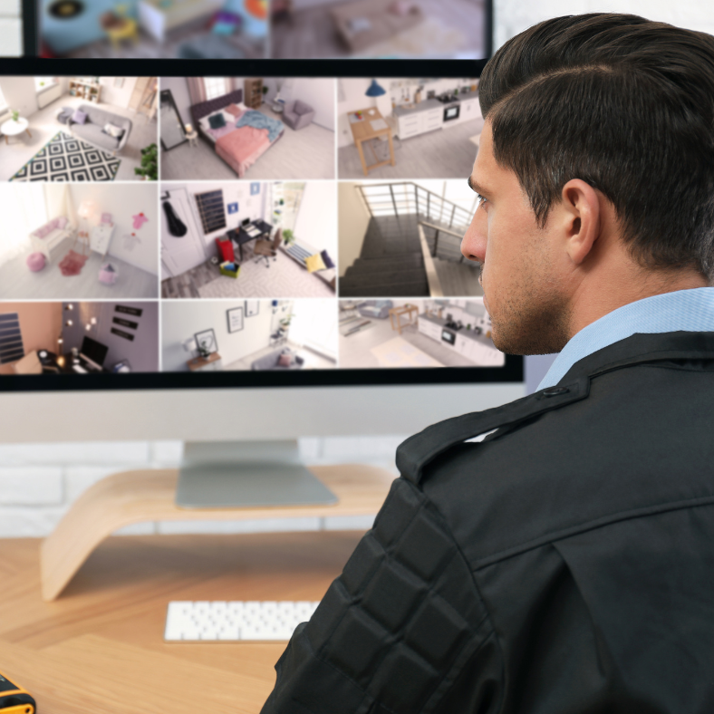 Camera Monitoring | California Patrol Enforcement in Long Beach and ...