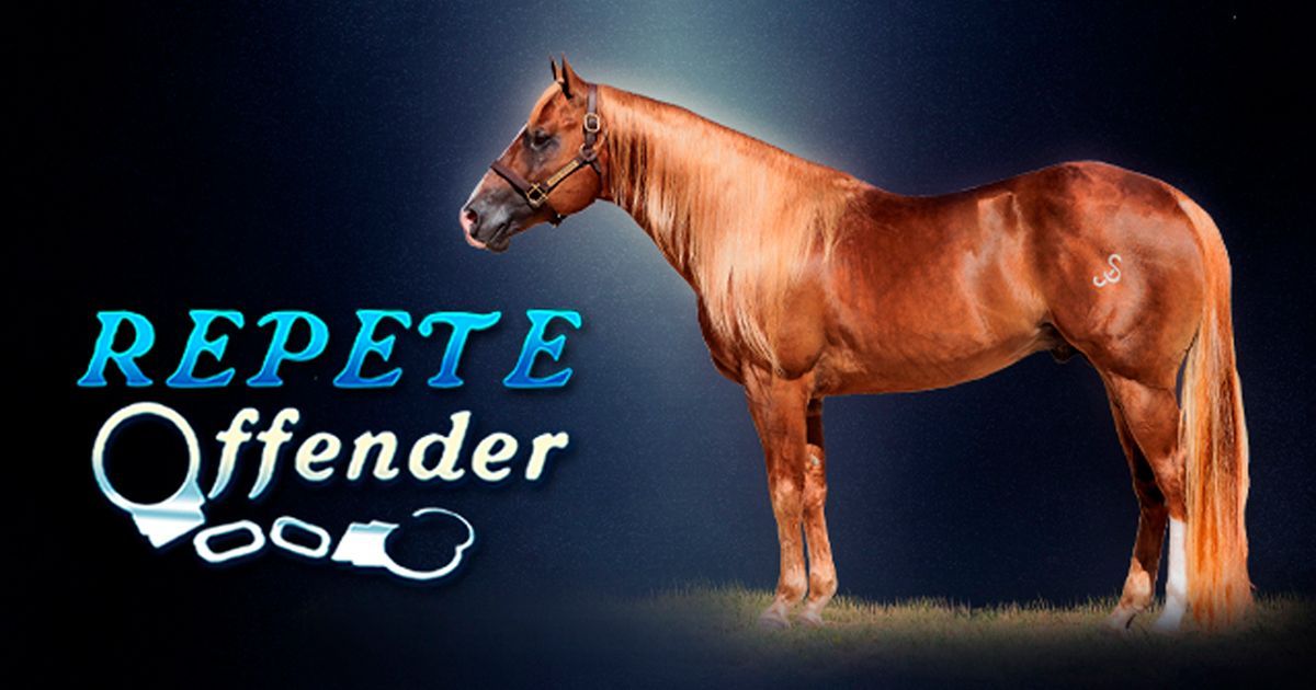 Repete Offender