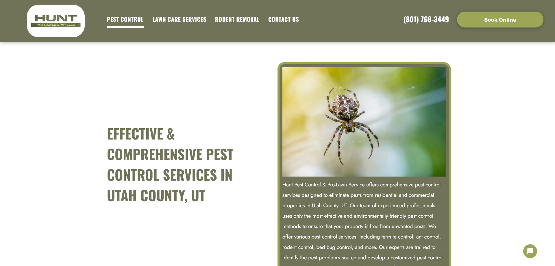 Pest Control Services | Utah County, UT