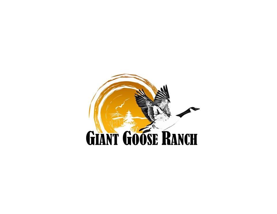 Camping Facilities | Illinois Campground Association