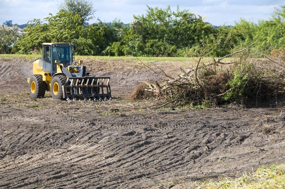 How Proper Land Clearing Prevents Future Drainage And Erosion Problems