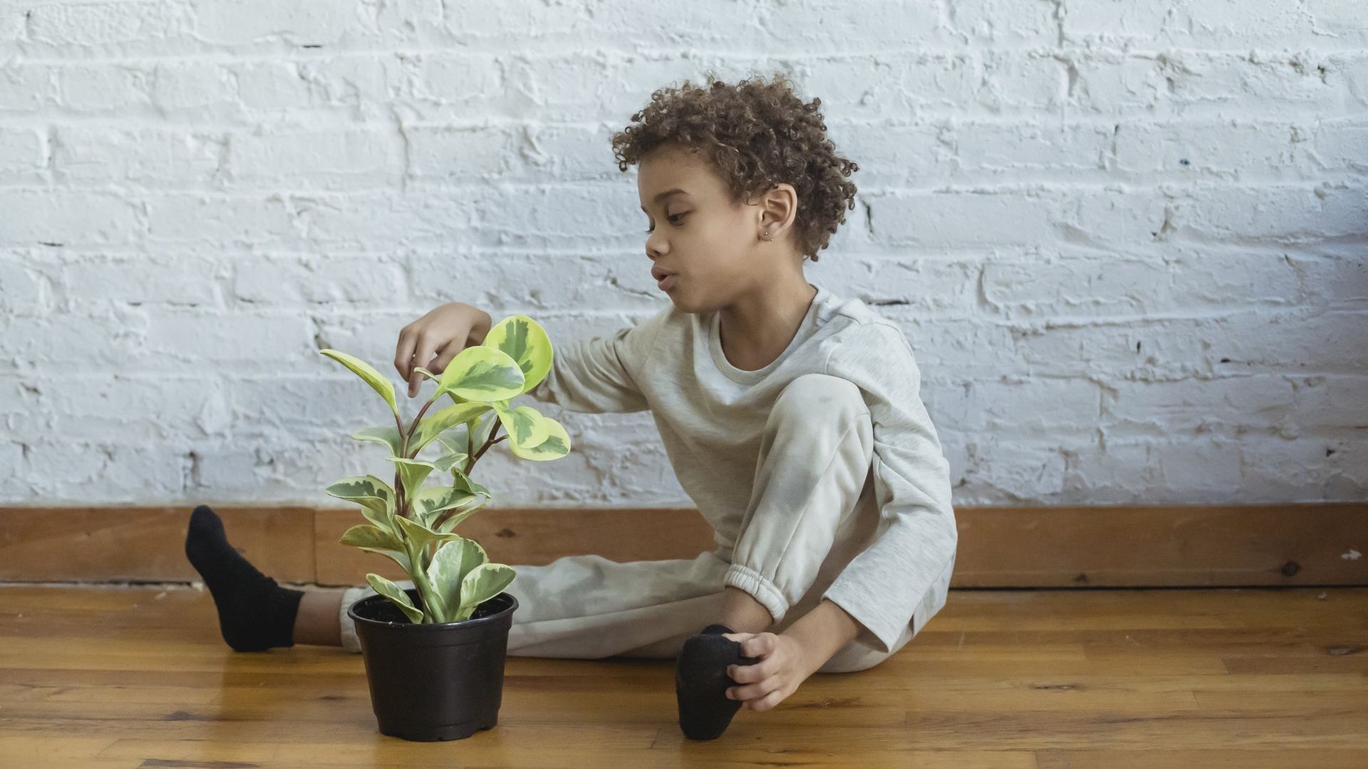 5 Tips for Preserving Clean Air in Your Apartment