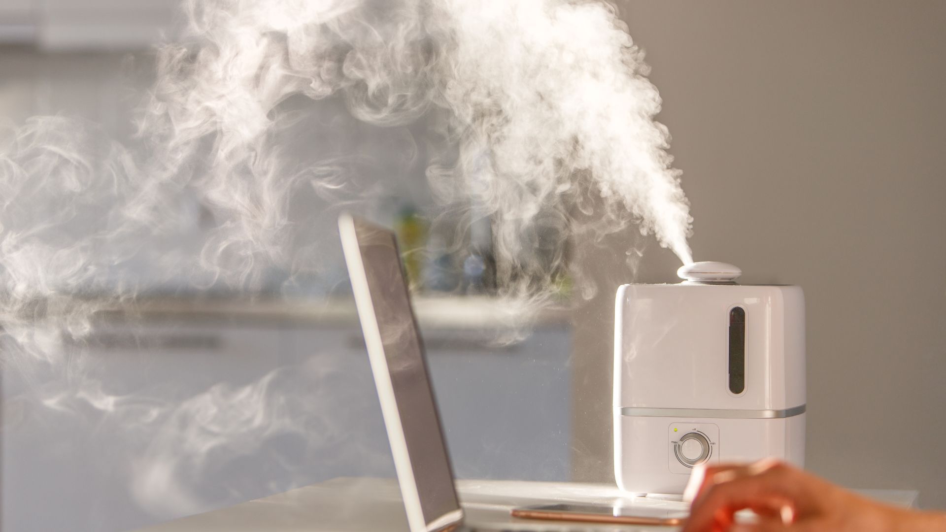 What Is A Humidifier Used For? : Things to Know