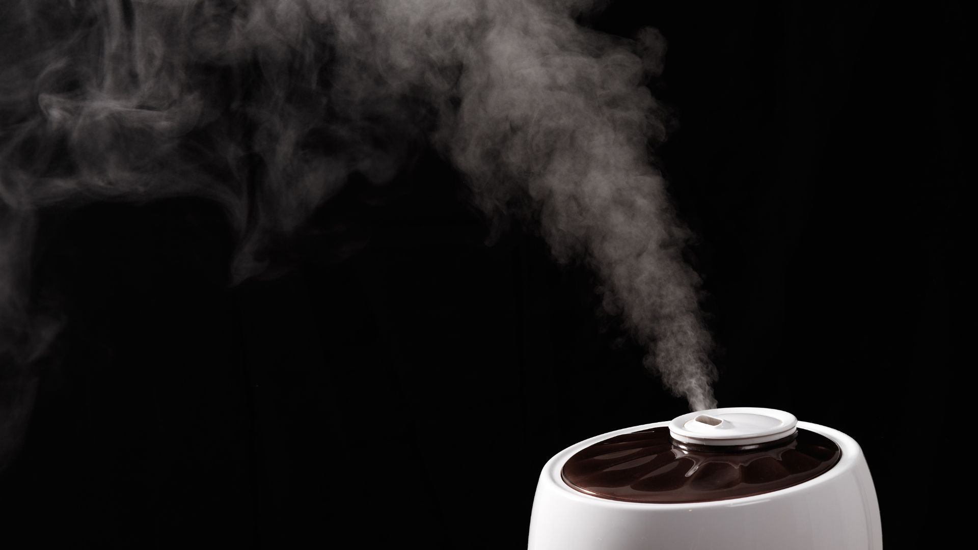 What Is A Smoke Purifier? : Understanding Smoke Purifiers