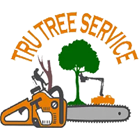 Contact | Tru Tree Service