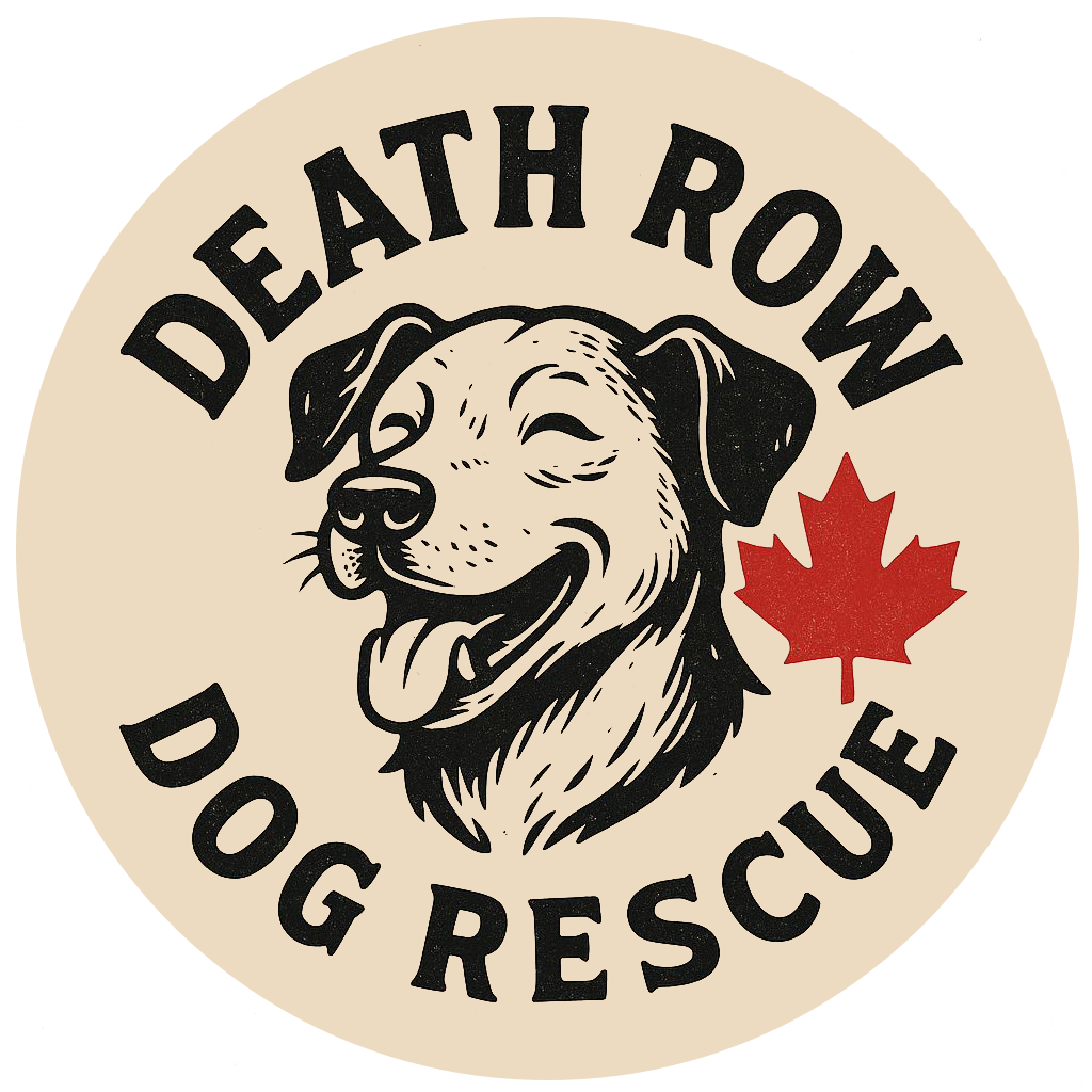 Death Row Dog Rescue