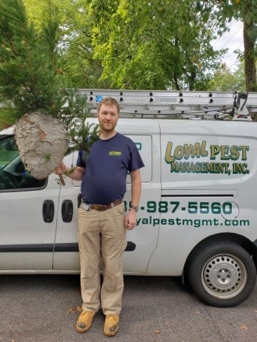 Special Offers in Boston, MA | Loyal Pest Management