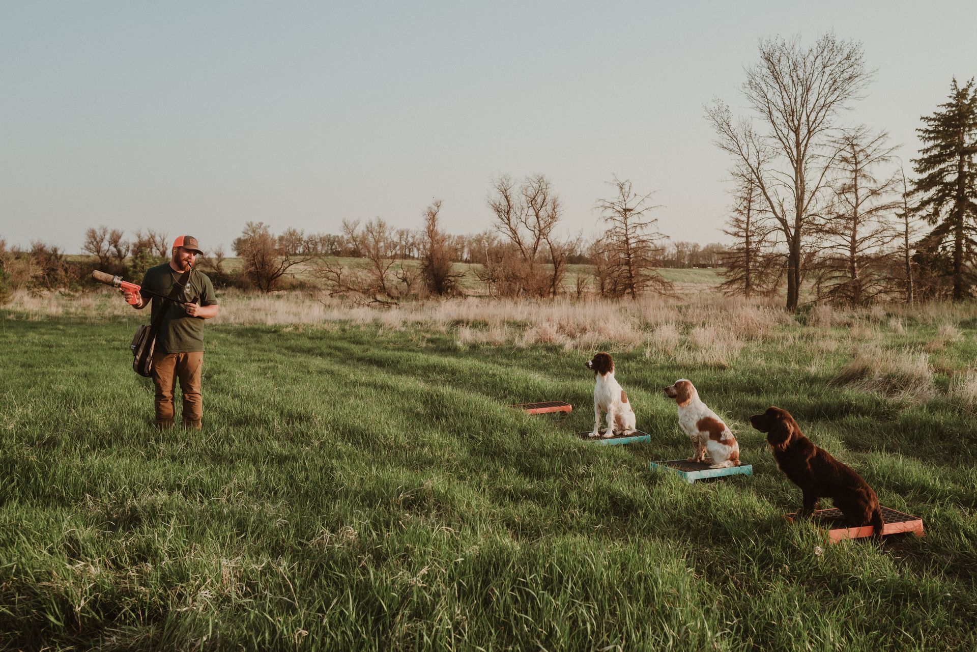 Gun Dog Training for Upland and Waterfowl Hunting