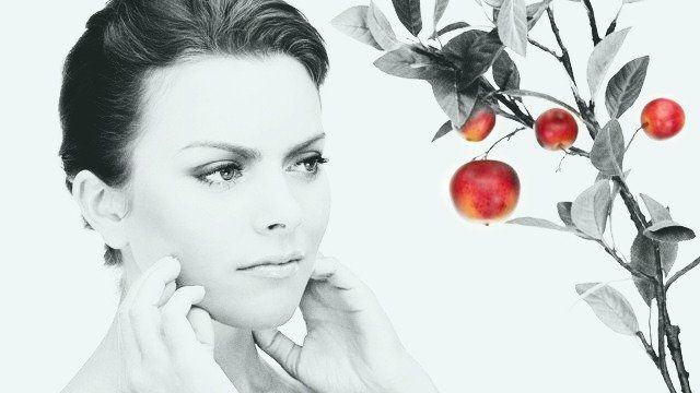 Why Do My Lips Hurt When I Eat Apples | Lipstutorial.org