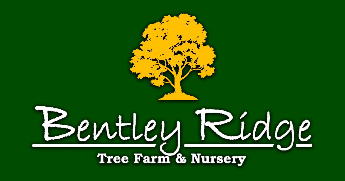 Contact Us | Bentley Ridge Tree Farm & Nursery | Grimes, IA