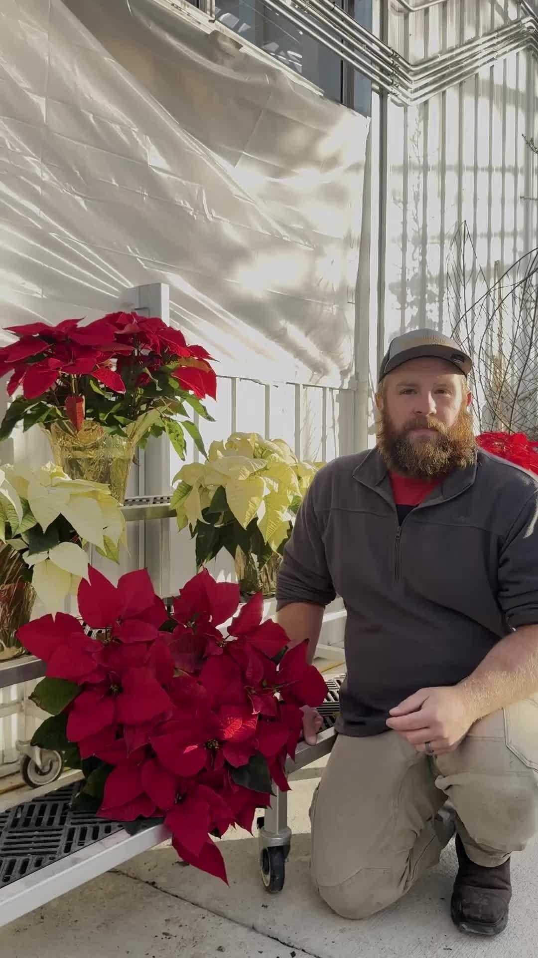 Bentley Ridge Tree Farm & Nursery | Grimes, IA | Garden Center