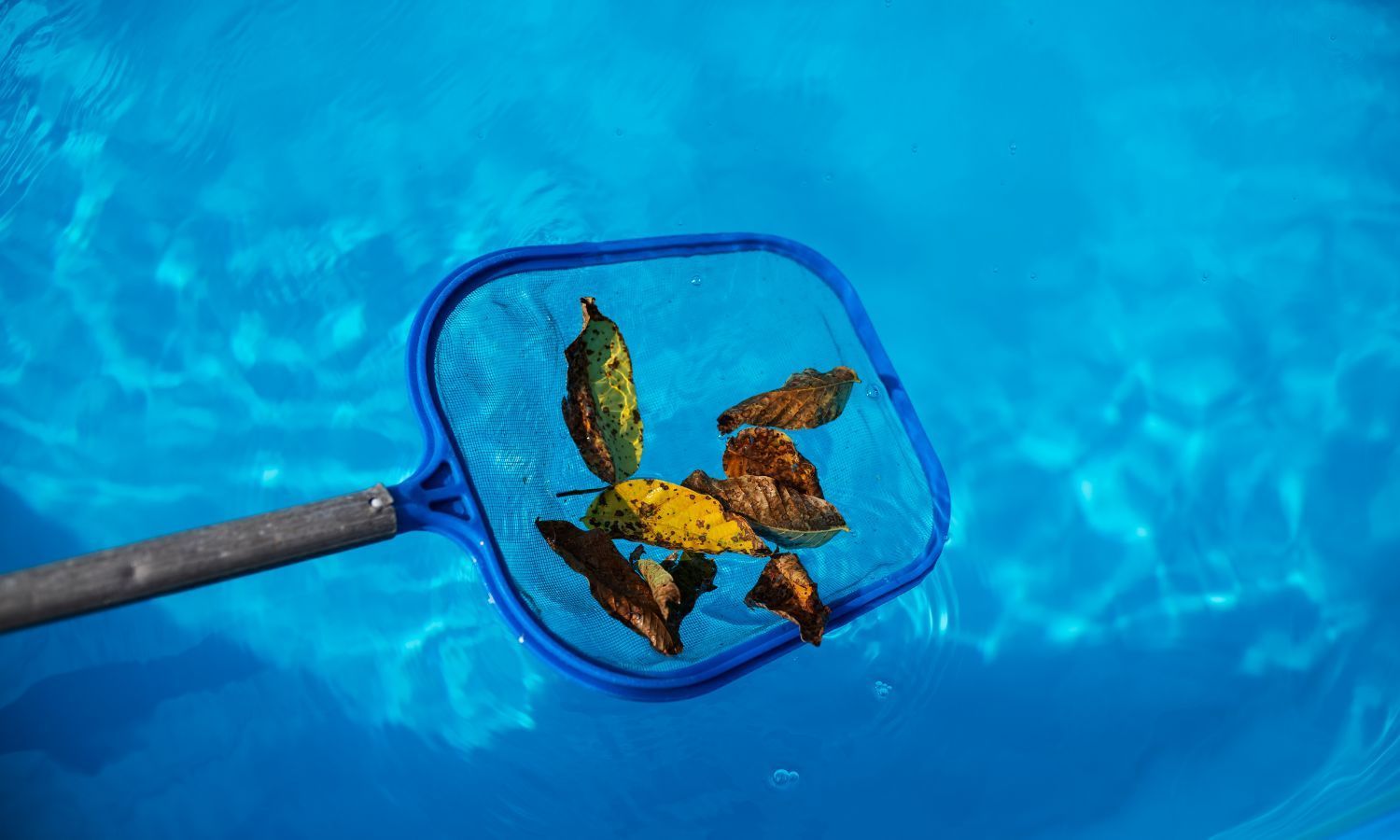 Weekly Pool Maintenance Matters in the Southeast | Pinnacle Pools