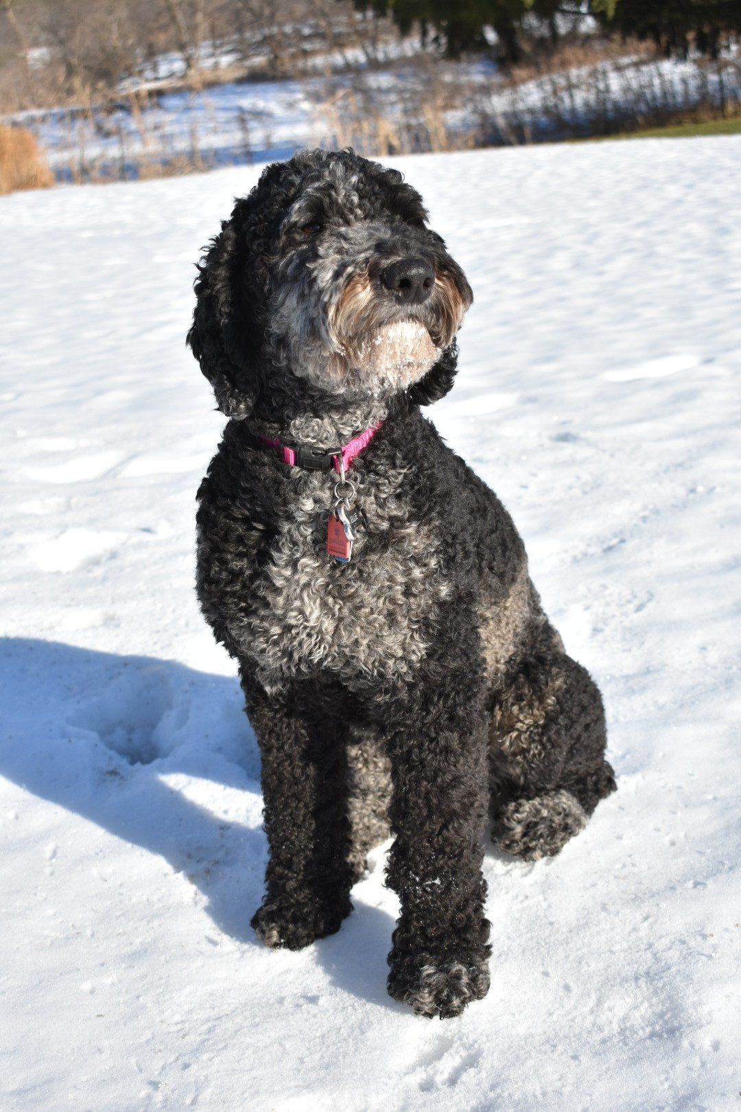 Born on November 9, 2023.