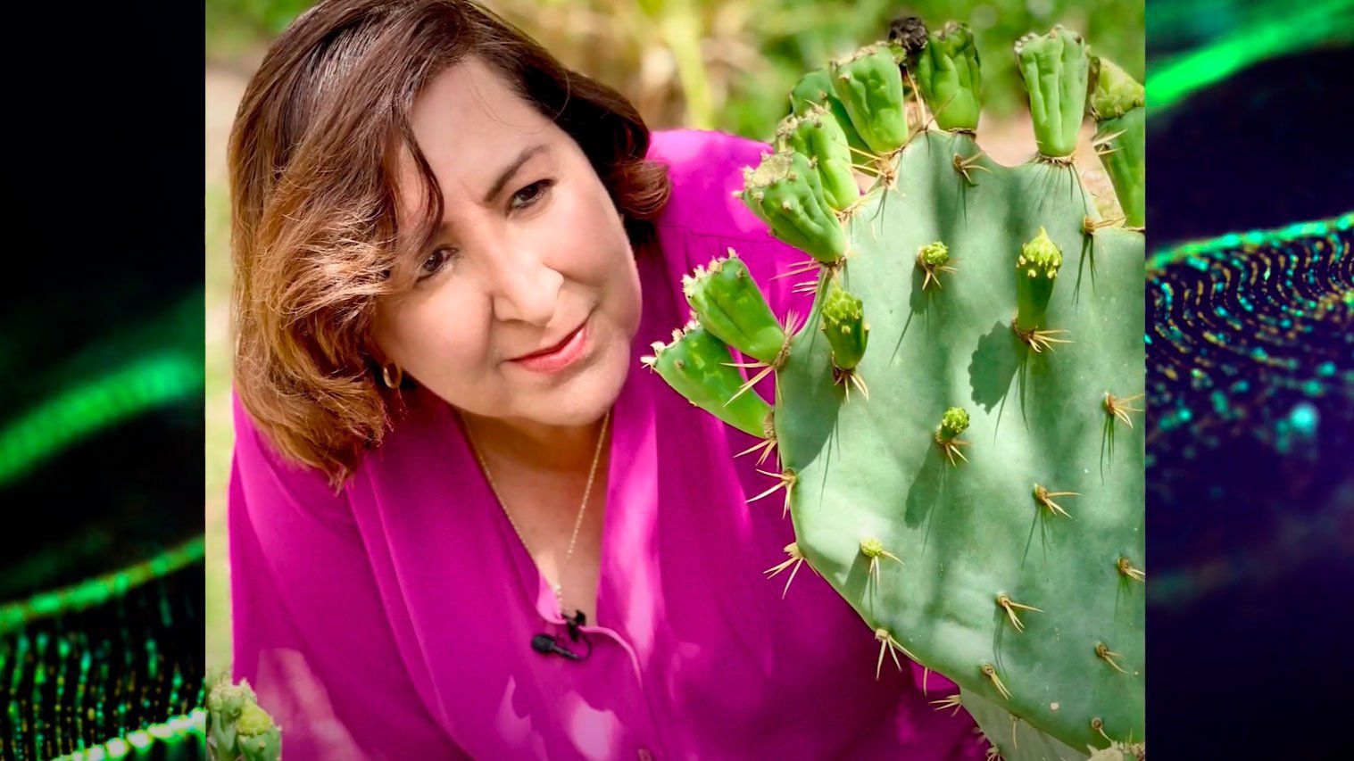 Florida Inventors Hall of Fame Inductee Video