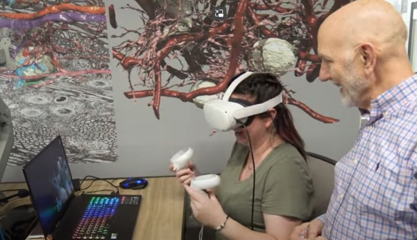 Scientific Discovery Using Immersive Virtual Reality Video